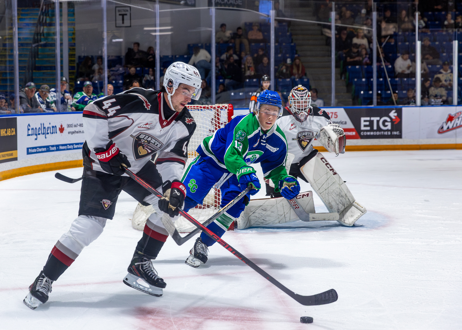 Noah Kosick wins WHL Player of the Week - SwiftCurrentOnline.com - Local news, Weather, Sports ...